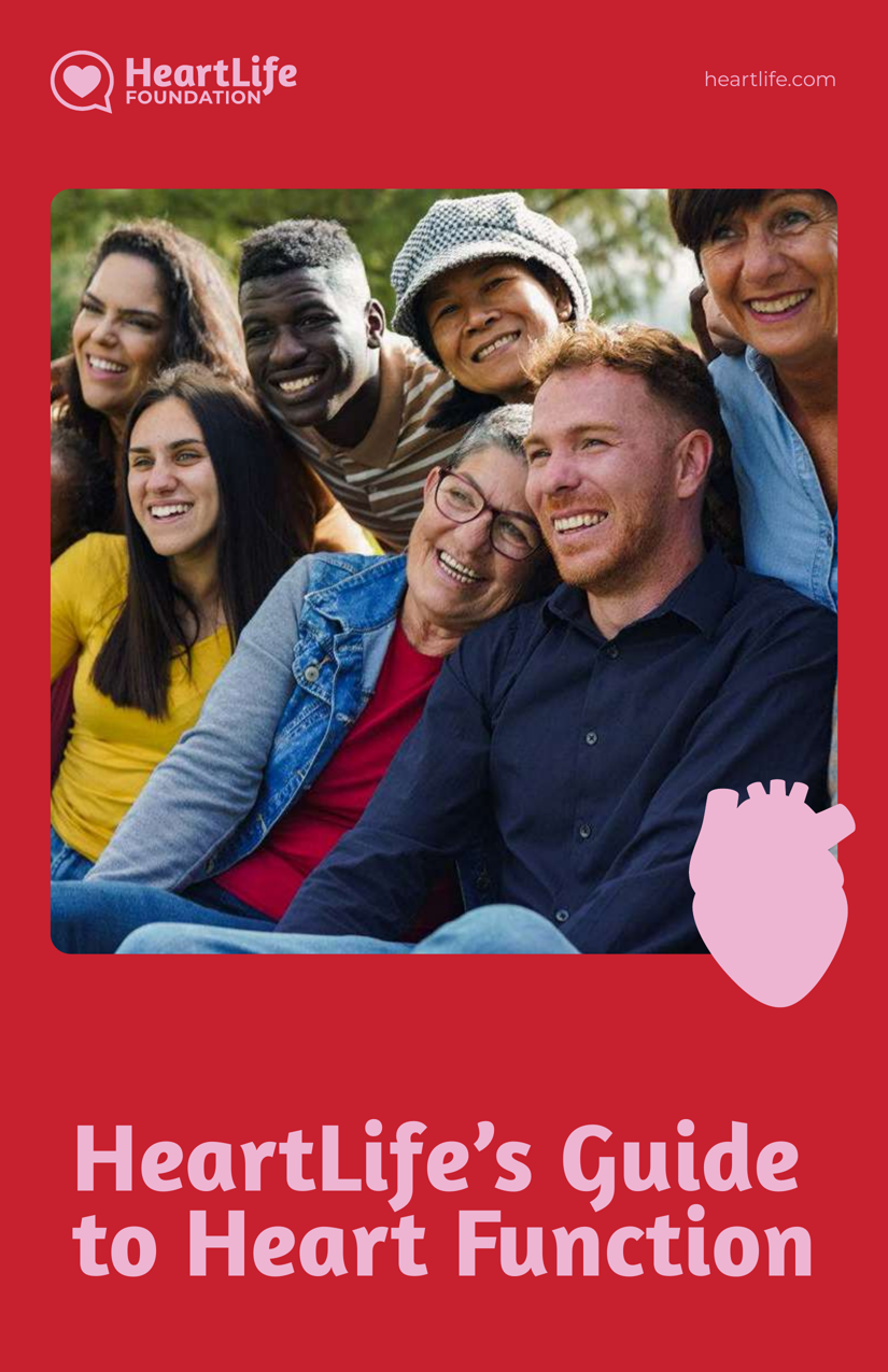 HL Guide to Heart Function - HeartLife Foundation